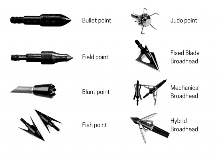 Arrow Tips Guide – Rage Broadheads